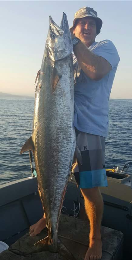 The Sardine News - Never miss a single sardine!