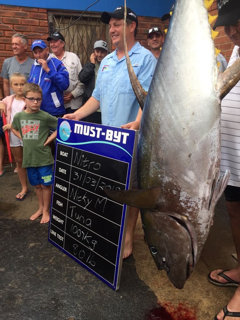 100kg Yellowfin Tuna by Nitro off Shelley Beach - The Sardine News