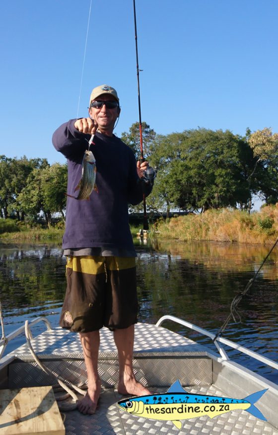 Ultra-light Spinning Rig - The Sardine News