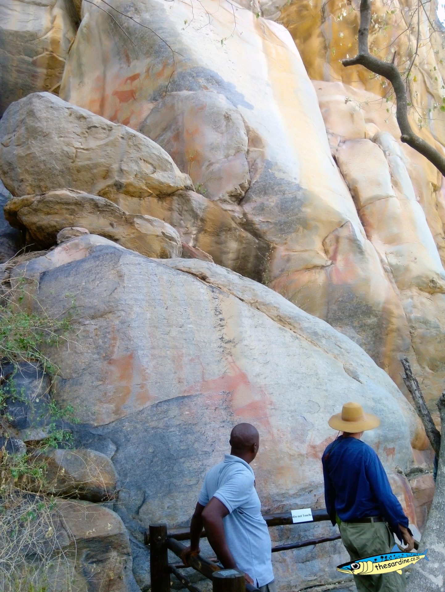 The whale of Tsodilo Hills - Botswana - The Sardine News