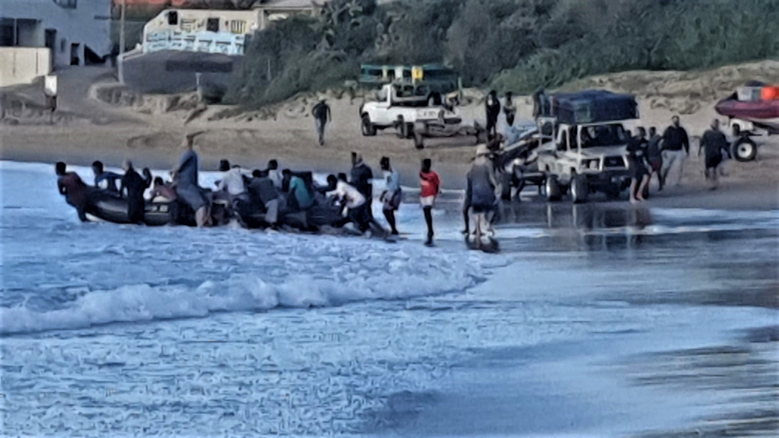 Sardine Run 2021 Sightings Map - The Sardine News