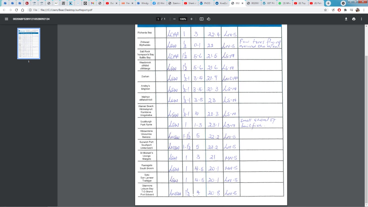 Sardine Run 2021 Sightings Map - The Sardine News
