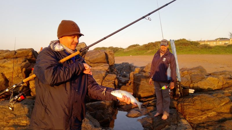 Ultra-light Spinning Rig - The Sardine News