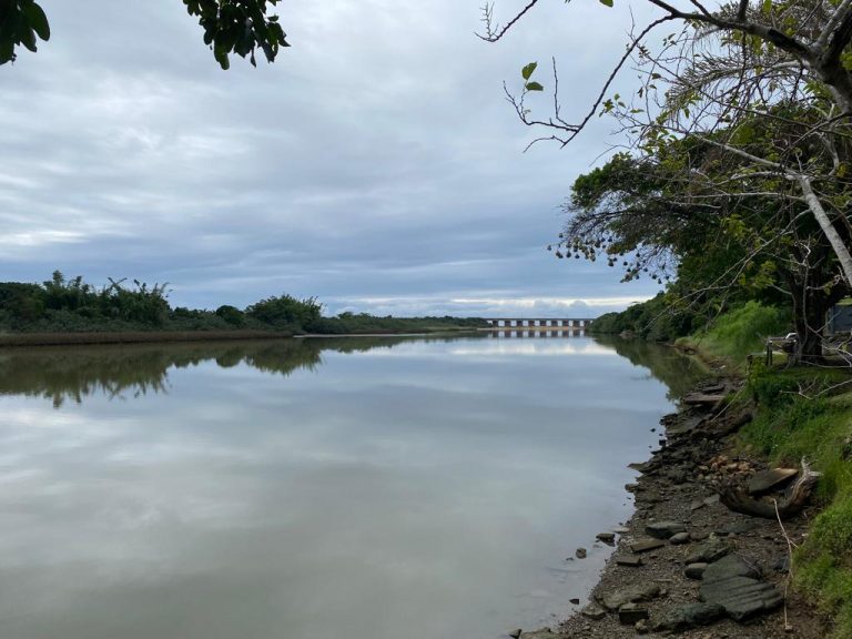 The Sardine News Summer 2021 22 Season featuring the Halocline and Flood Pulse - The Sardine News