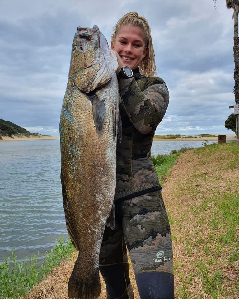 Catching Kob - The Sardine News