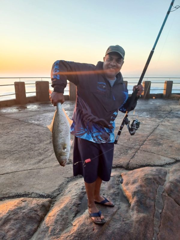 Shad Run vs Sardine Run - The Sardine News