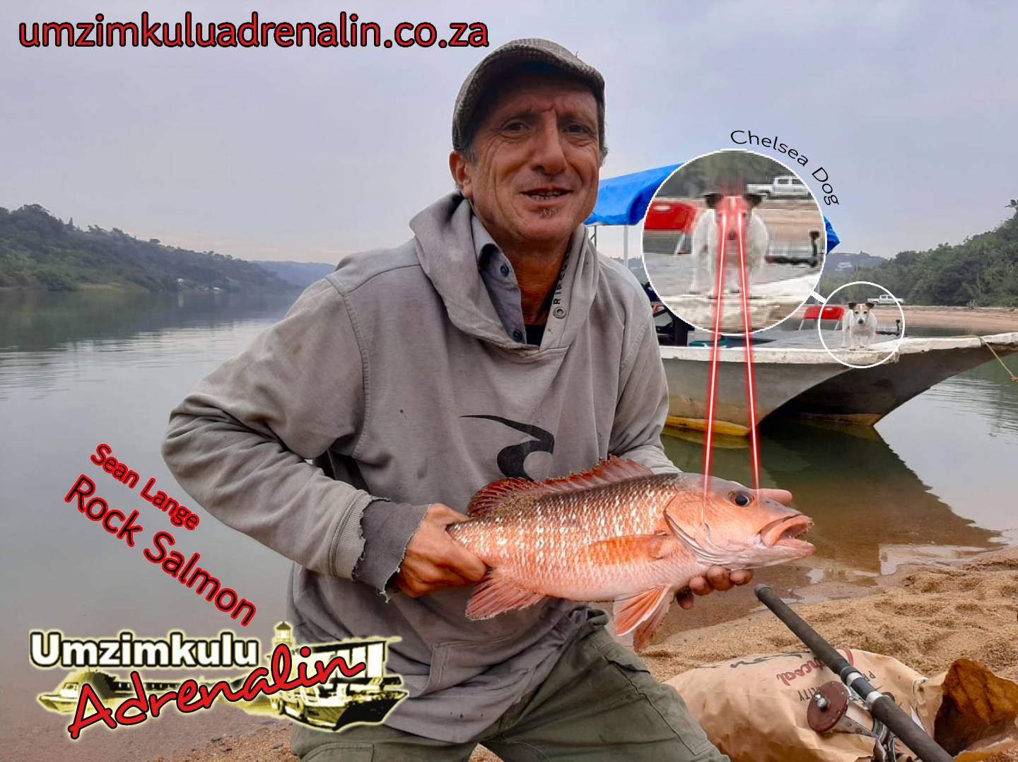 Rock Salmon: how far upriver do they swim? - The Sardine News