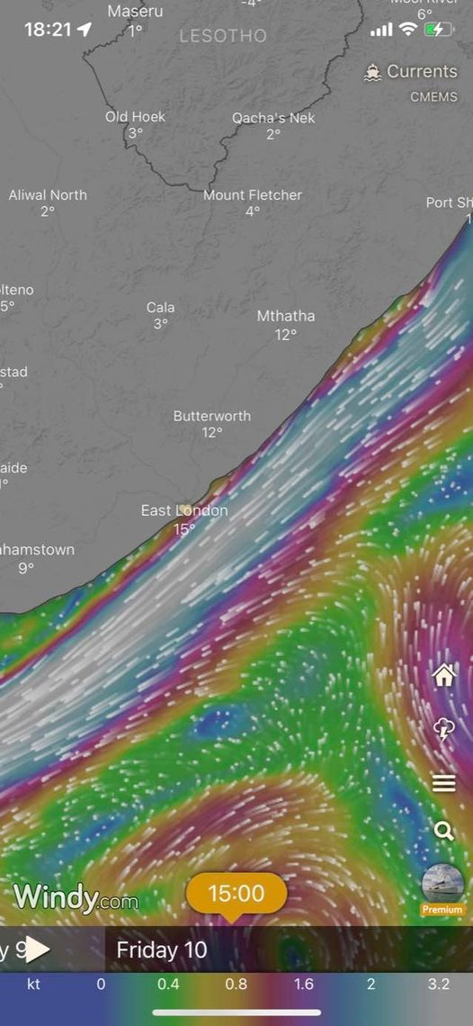 Sardine Run 2022 Sightings Map updated - The Sardine News