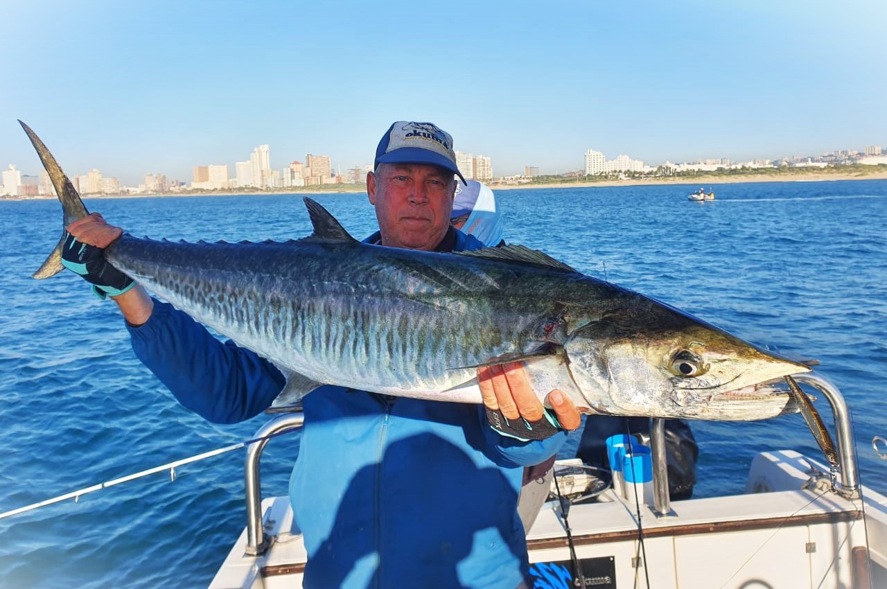 9 June 2023 Sardine Report dolphin super pod plus BIG fish off Durban!