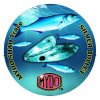 Tie a shad trace with MYDO Fishing Lures - The Sardine News