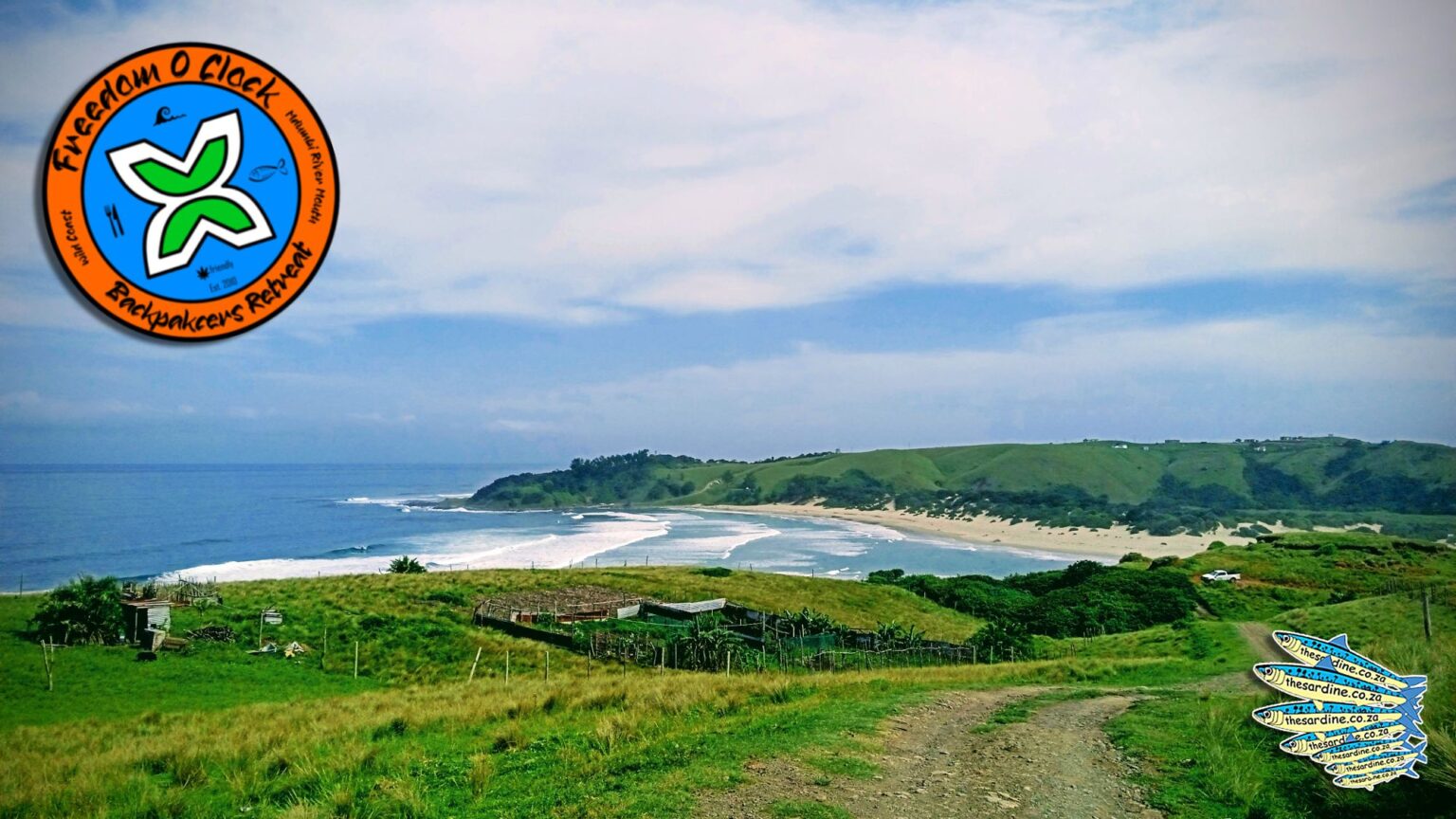 First couta of 2021/22 Season - The Sardine News