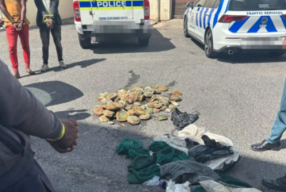 Rhino Horn vs. Abalone - The Sardine News