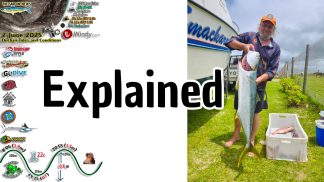 Sardine Run 2025 Explained by Kevin in Qora - The Sardine News