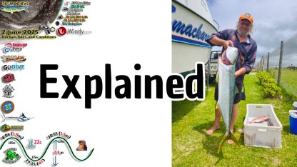 Sardine Run 2025 Explained by Kevin in Qora - The Sardine News