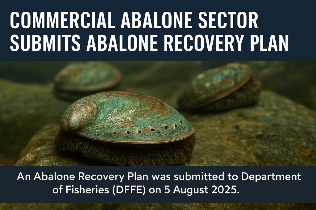 Commercial Abalone Sector submits Abalone Recovery Plan - The Sardine News