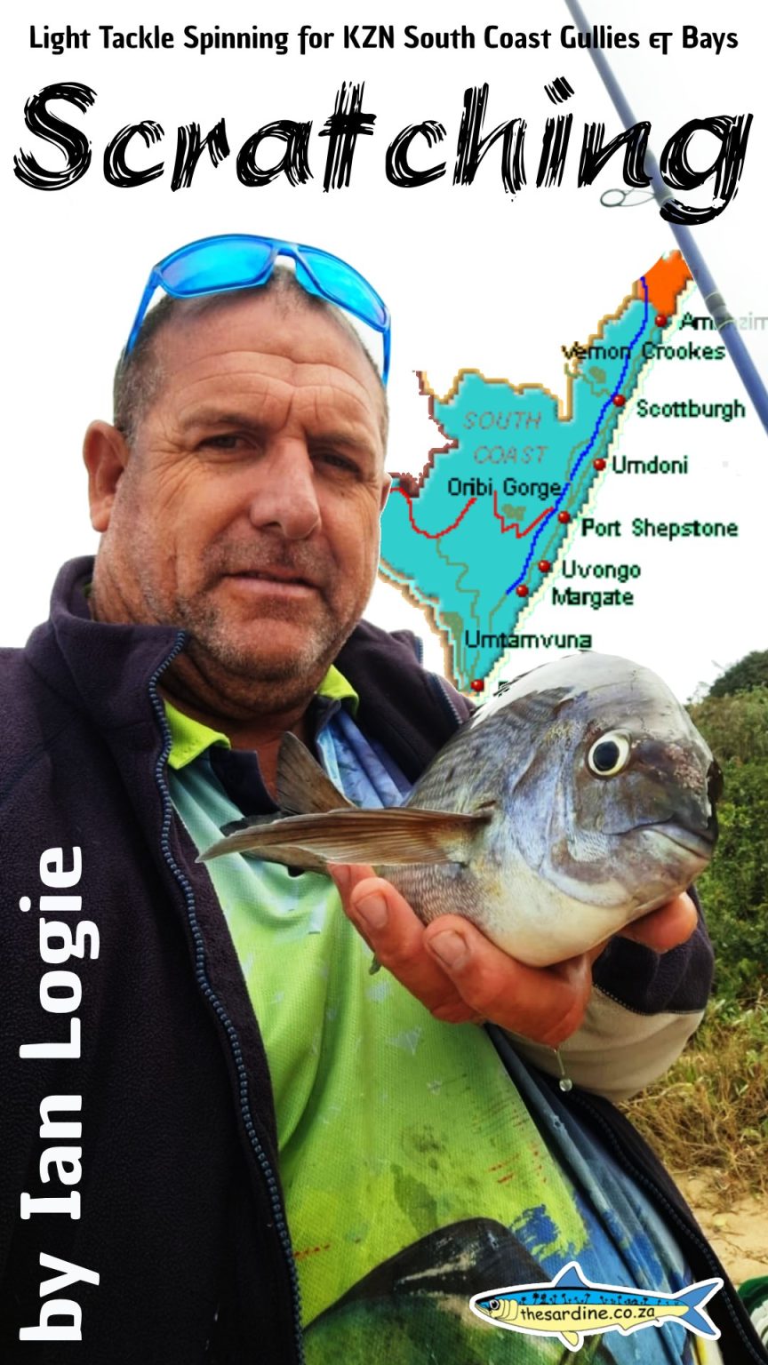 Scratching with Ian Logie - The Sardine News