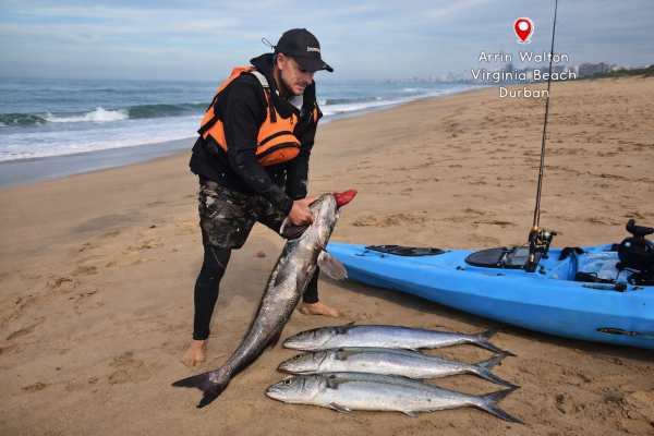 Virginia Kayak Angler Lands Big Gamefish — Predators Assemble for ...